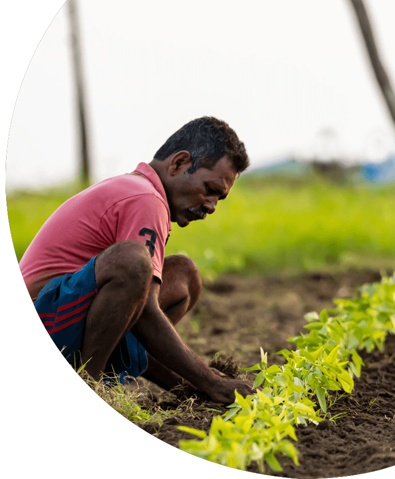 Cropex - Best biostimulants and fertilizers